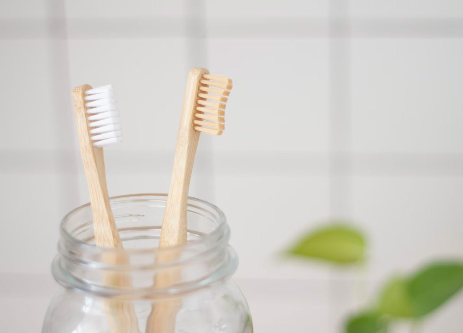 Korean Toothpaste – 5 kinds you should know - Shin Medical